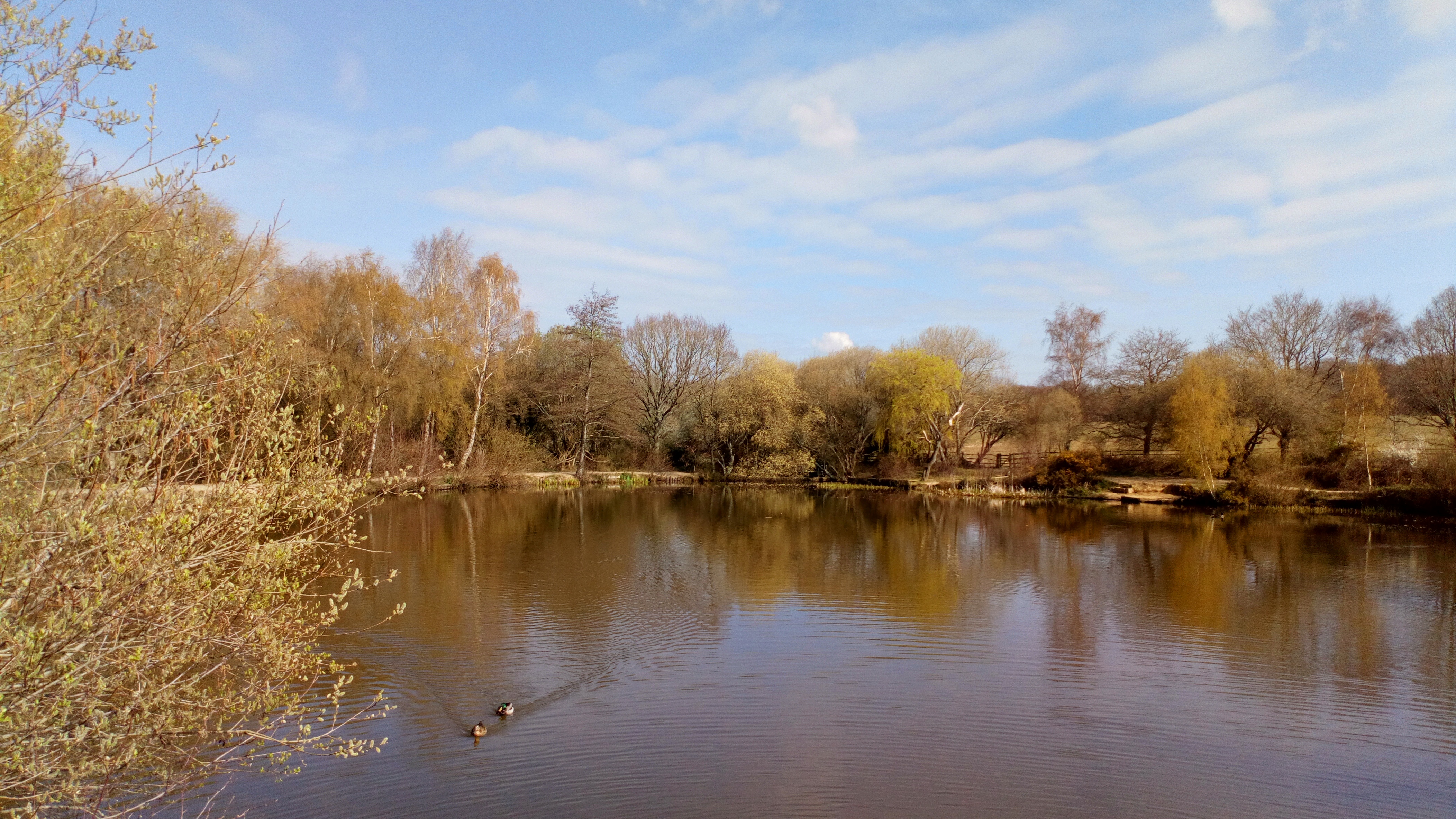 Ditchling Common Country Park 1.1m – 123 Walks