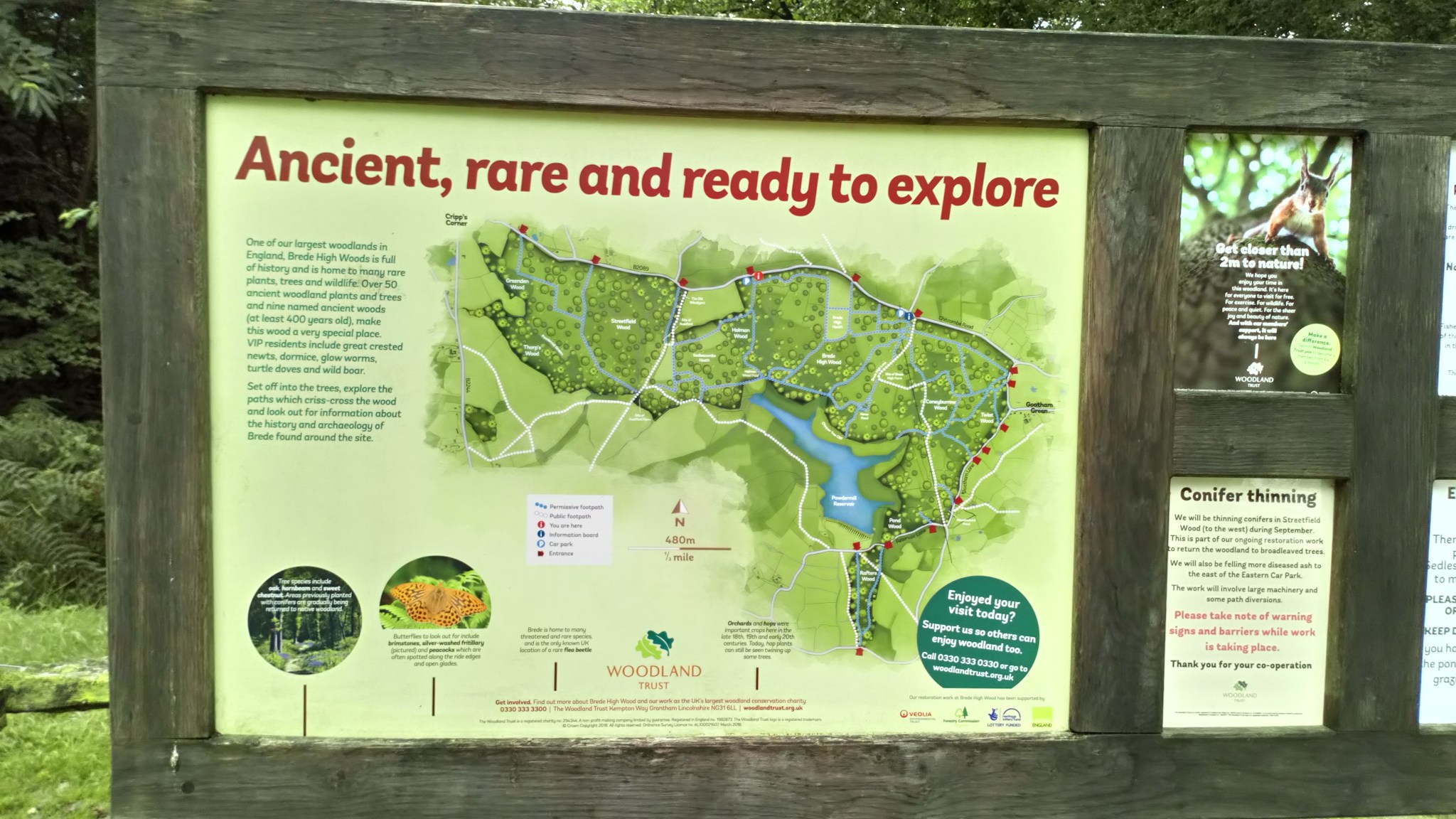 Brede High Woods 2.5m – 123 Walks