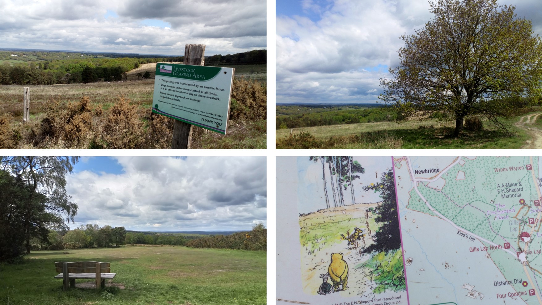 Ashdown Forest – Gills Lap 1.6m – 123 Walks