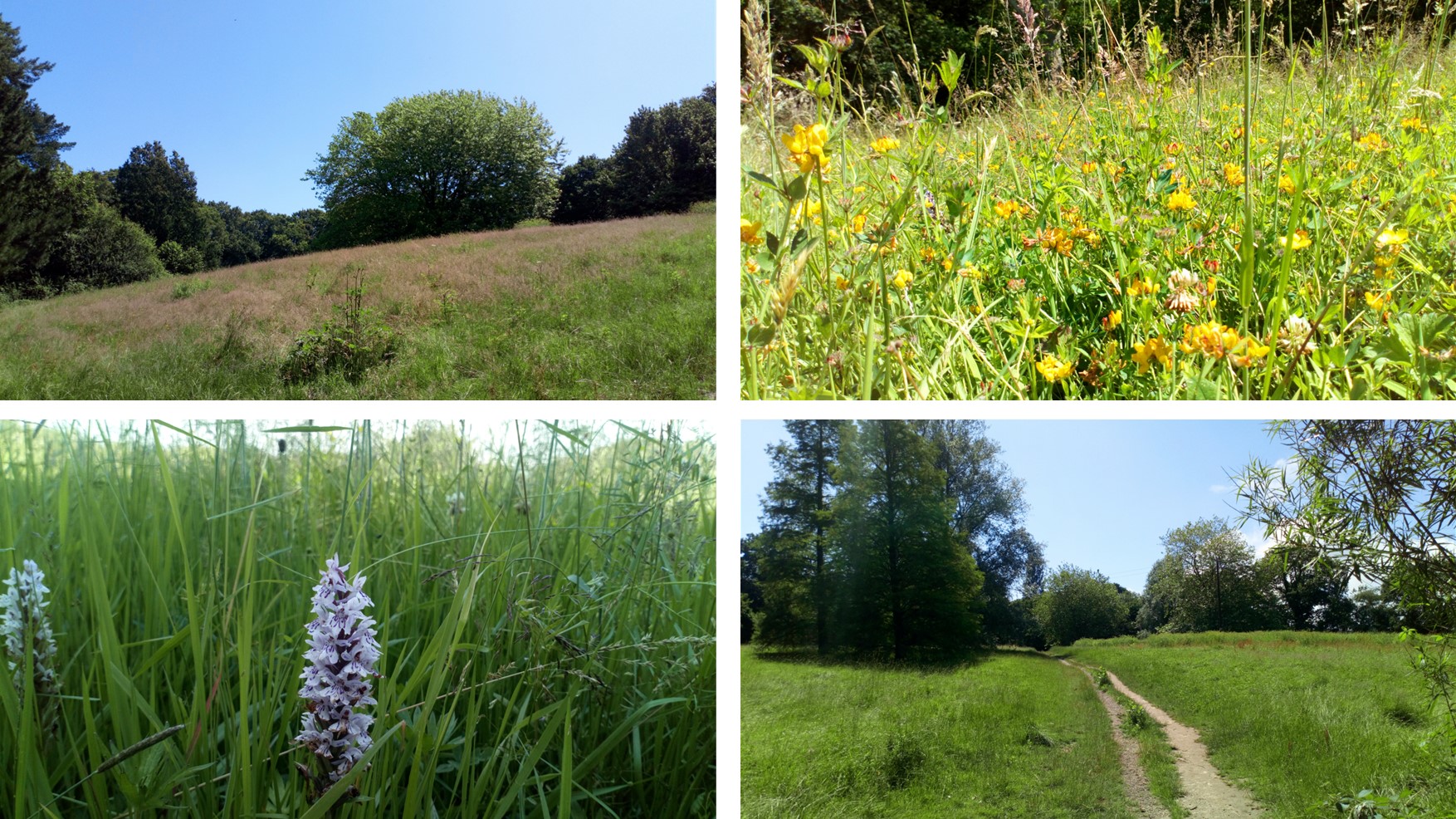 Bexhill – Broad Oak Park 1.1m – 123 Walks