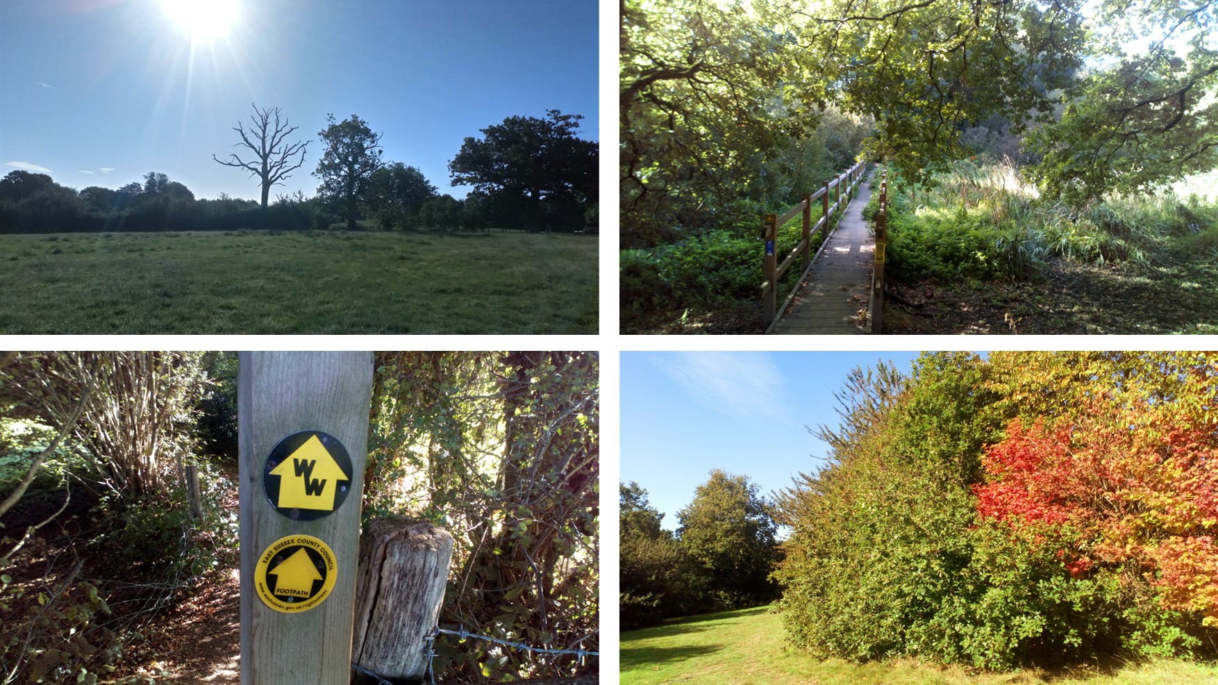 Chiddingly & Muddles Green 2.4m – 123 Walks