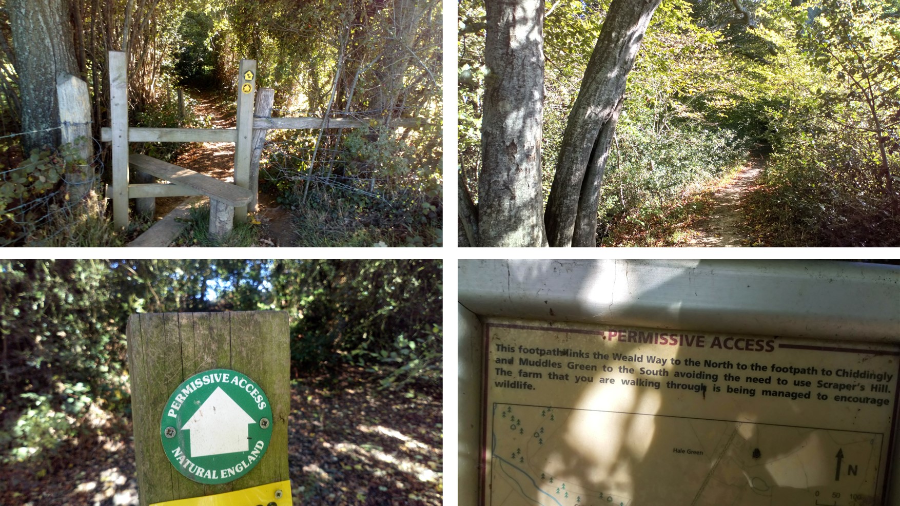 Chiddingly & Muddles Green 2.4m – 123 Walks