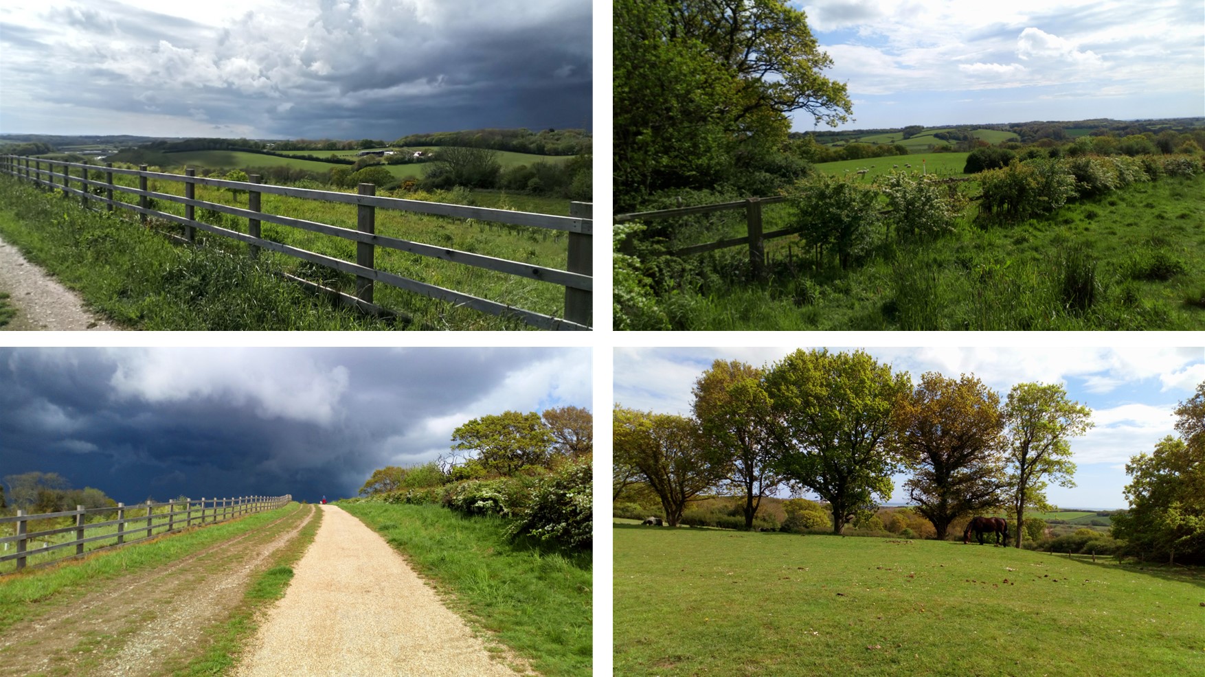 Combe Valley Greenway – up to 3m – 123 Walks