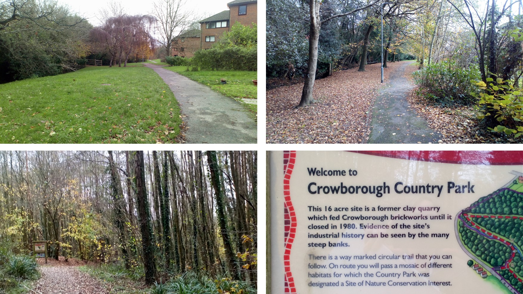 Crowborough Country Park & The Ghyll 2.9m – 123 Walks