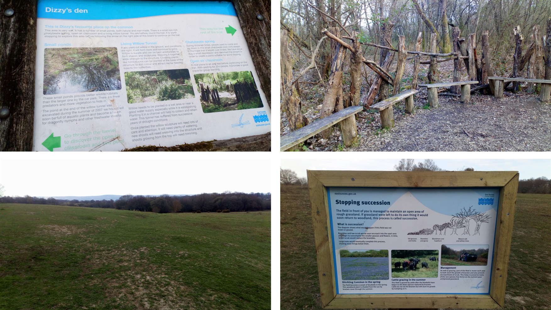 Ditchling Common Country Park 1.1m – 123 Walks