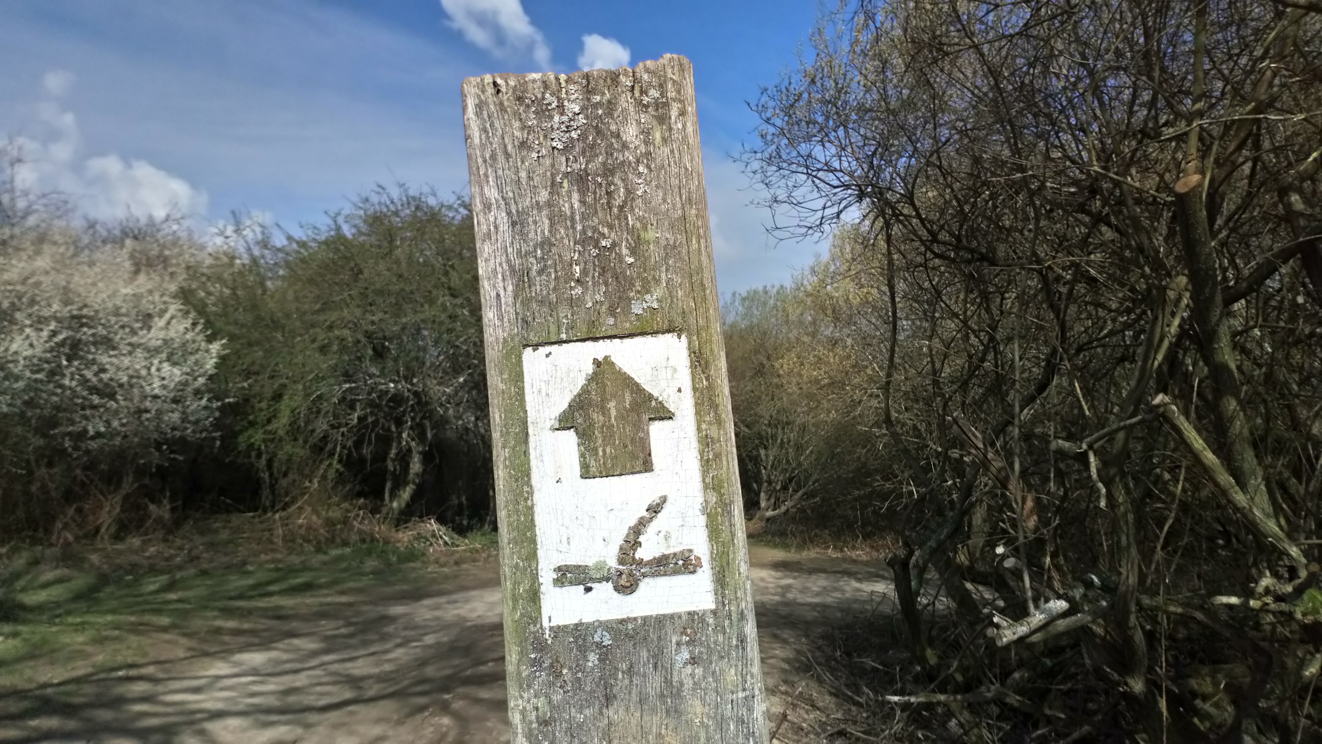 Ditchling Common Country Park 1.1m – 123 Walks