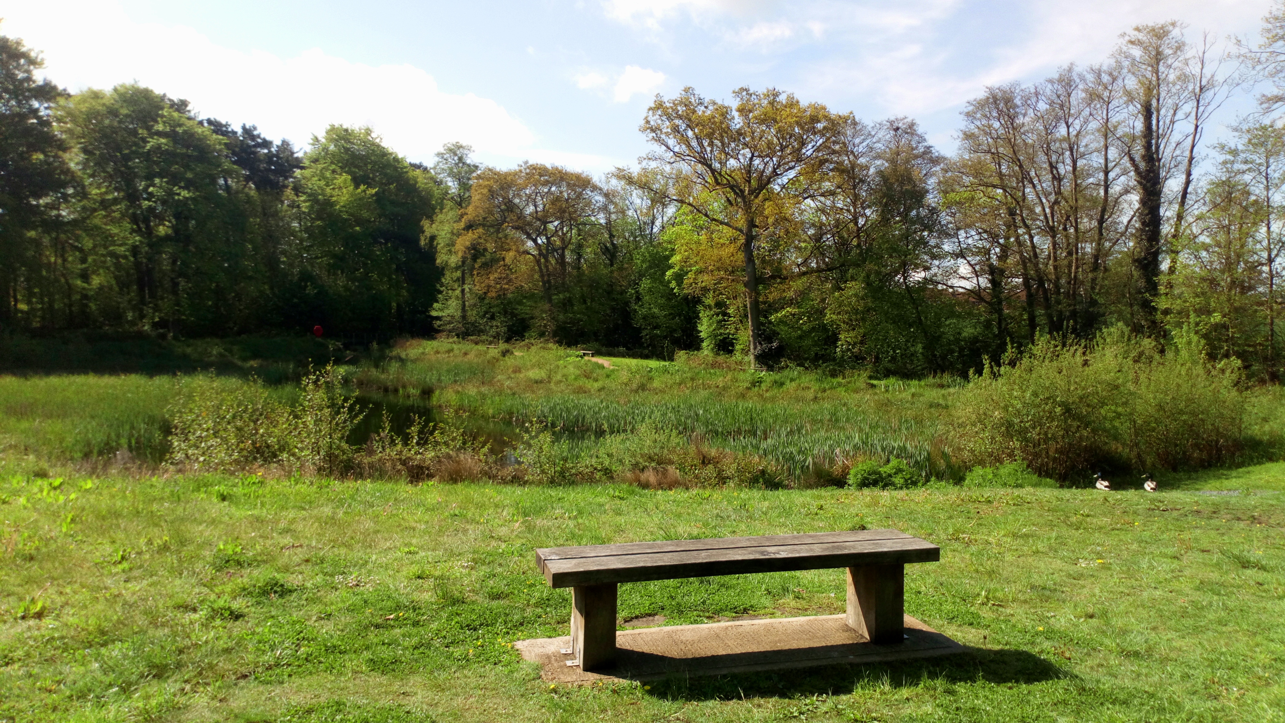Hellingly Country Park 0.9m – 123 Walks