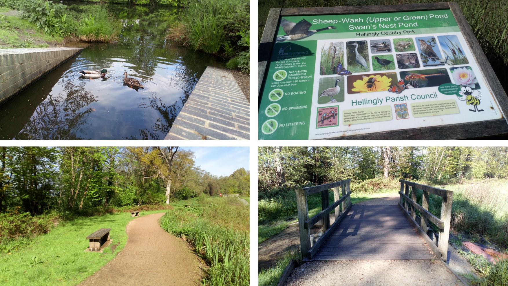 Hellingly Country Park 0.9m – 123 Walks