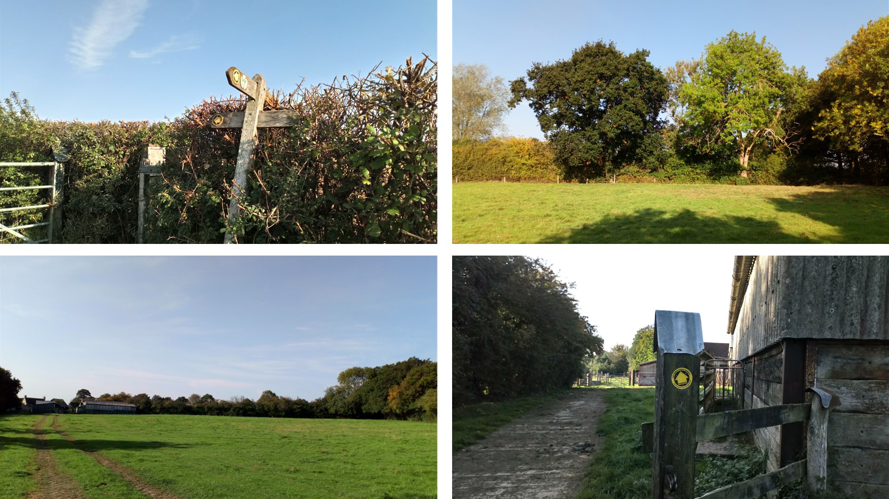 Hellingly – Cuckoo Trail loop 1.8m – 123 Walks