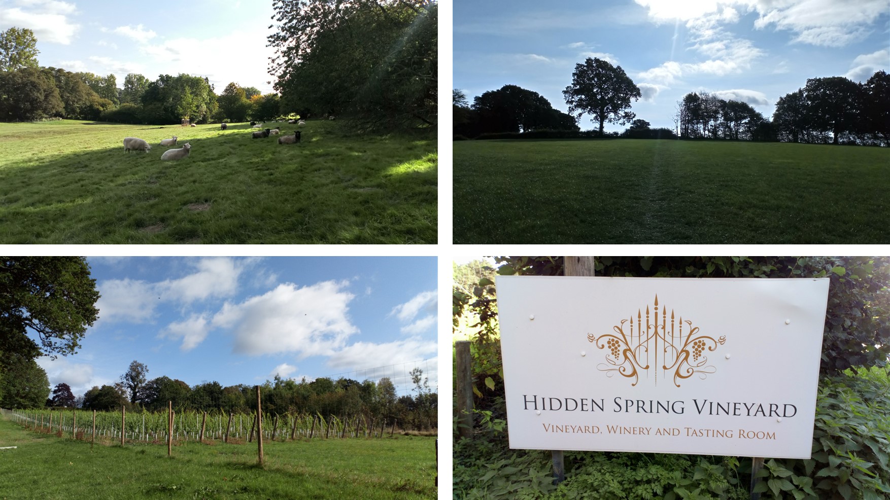 Horam – Cuckoo Trail loop 1.9m – 123 Walks