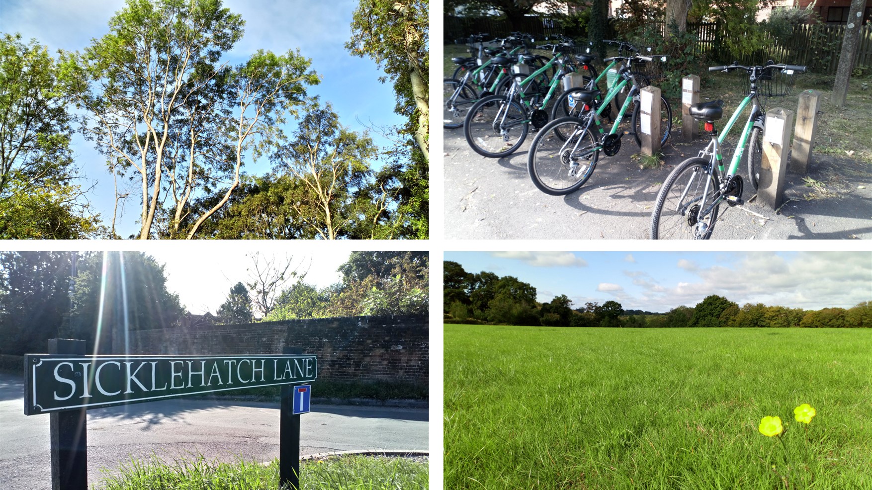 Horam – Cuckoo Trail loop 1.9m – 123 Walks