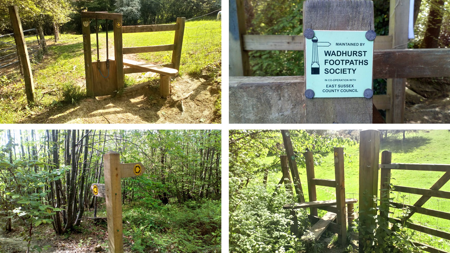 Wadhurst – Snape Wood 2.9m – 123 Walks