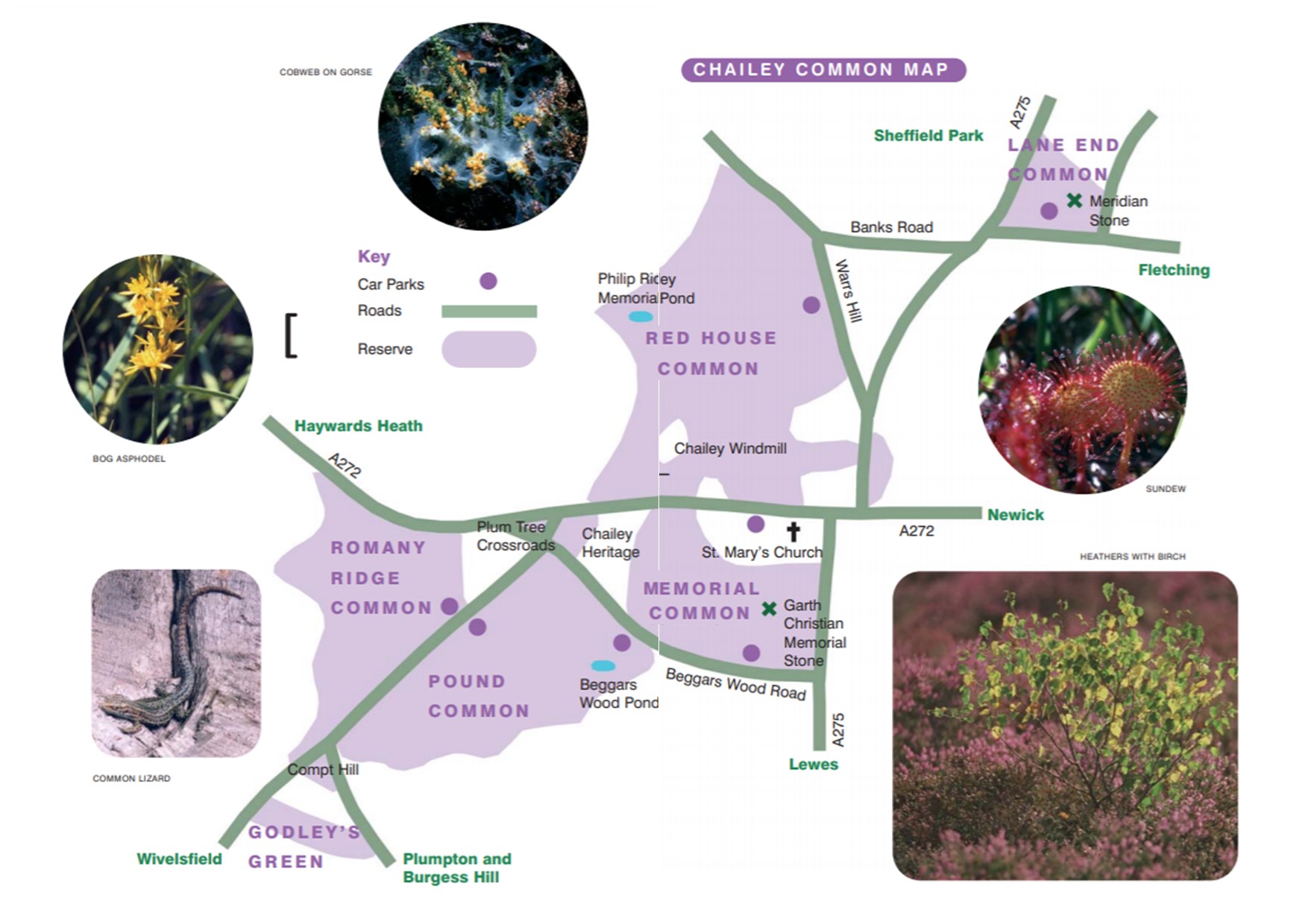 North Chailey – Red House Common 1.6m – 123 Walks