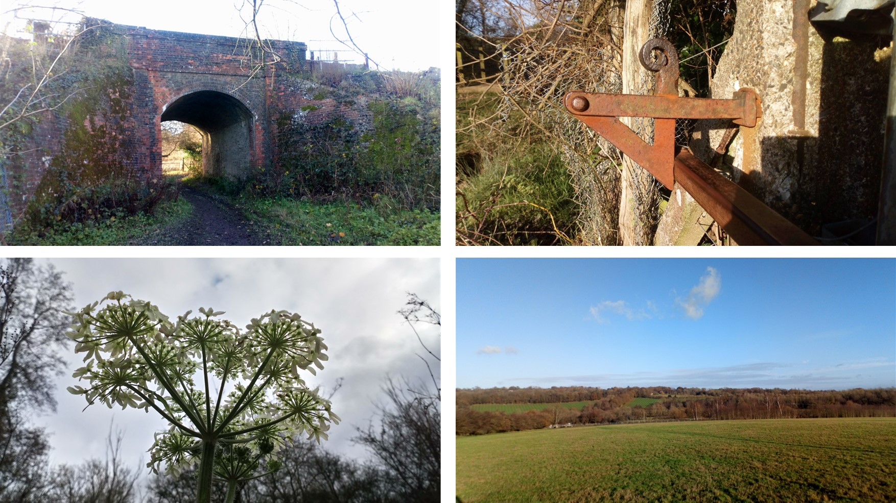 Robertsbridge – Railways & Rivers 2.6m – 123 Walks