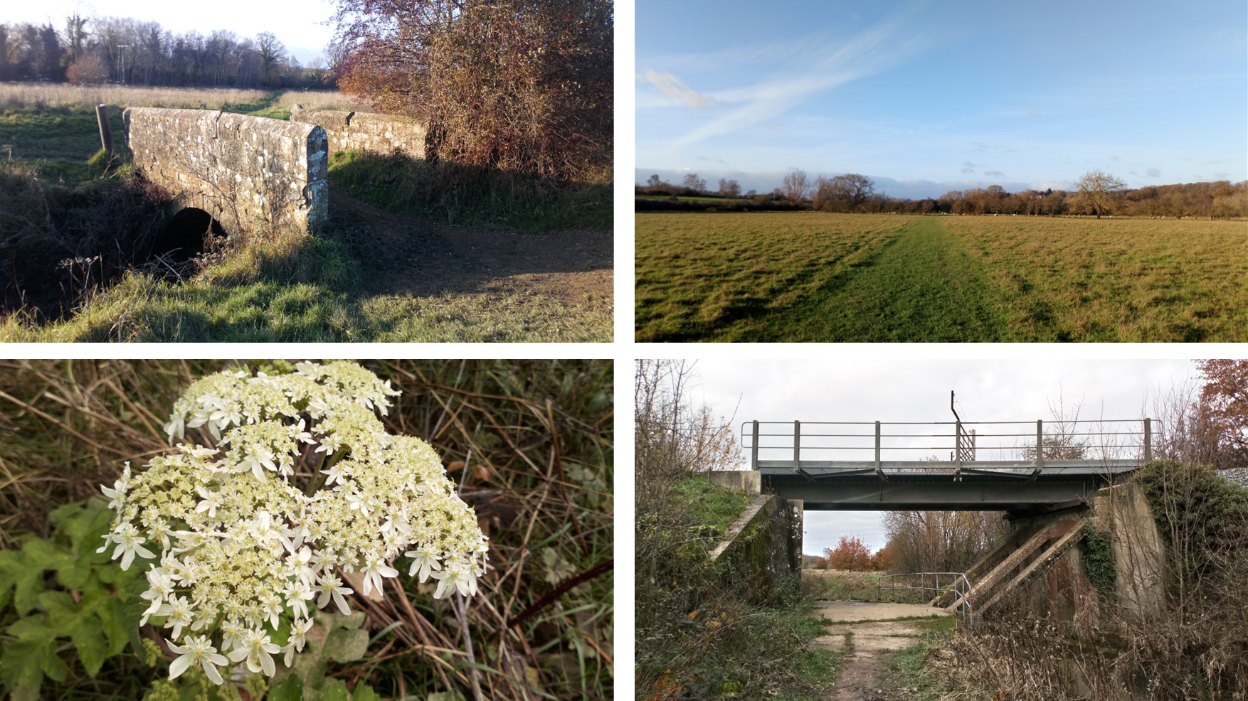 Robertsbridge – Railways & Rivers 2.6m – 123 Walks