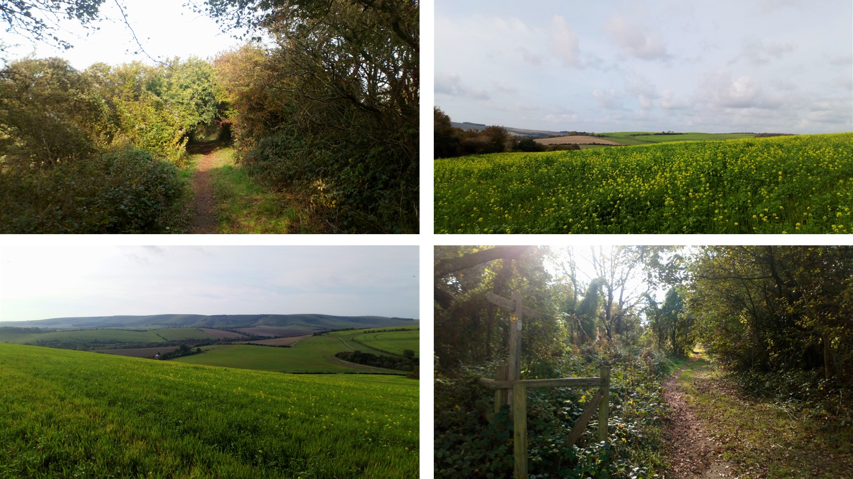 Lewes – The Gallops/Cuckoo Bottom 3.9m – 123 Walks