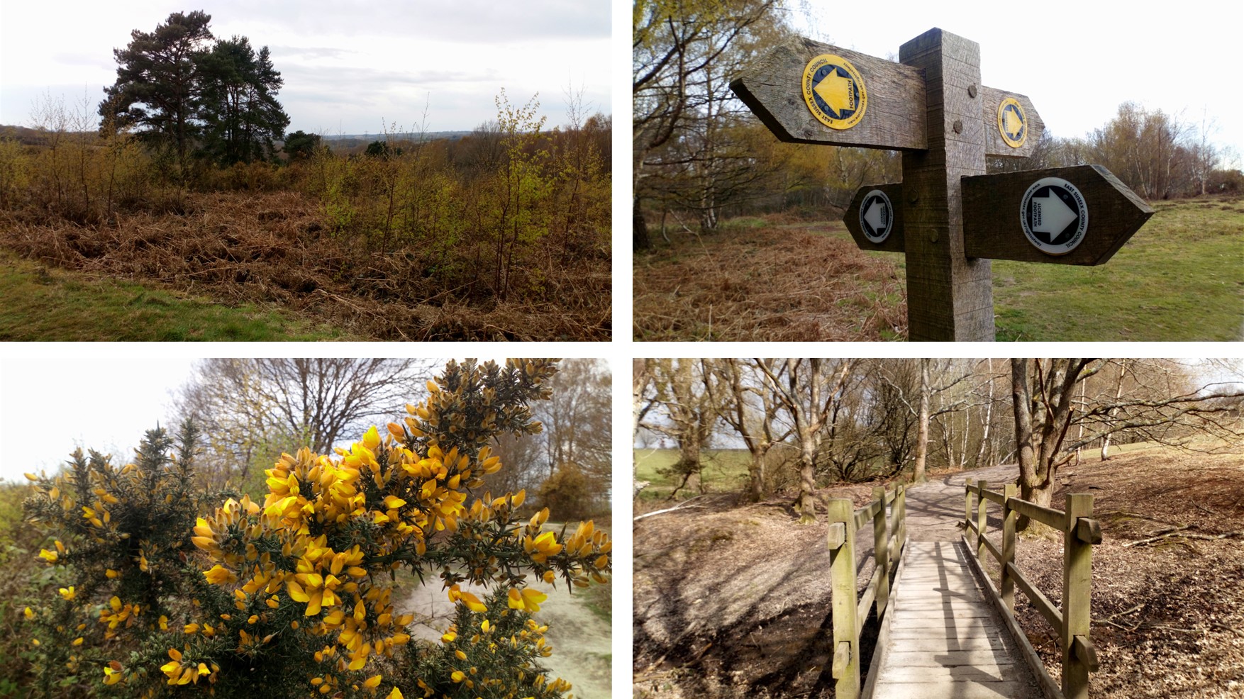 North Chailey – Red House Common 1.6m – 123 Walks