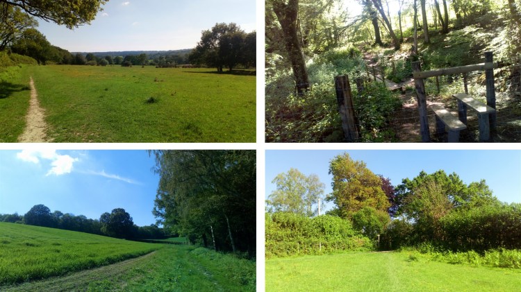 Sedlescombe – Hurst Lane 2.8m – 123 Walks