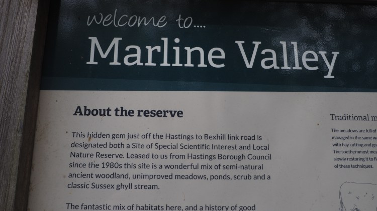 Hastings – Marline Valley 2.3m – 123 Walks