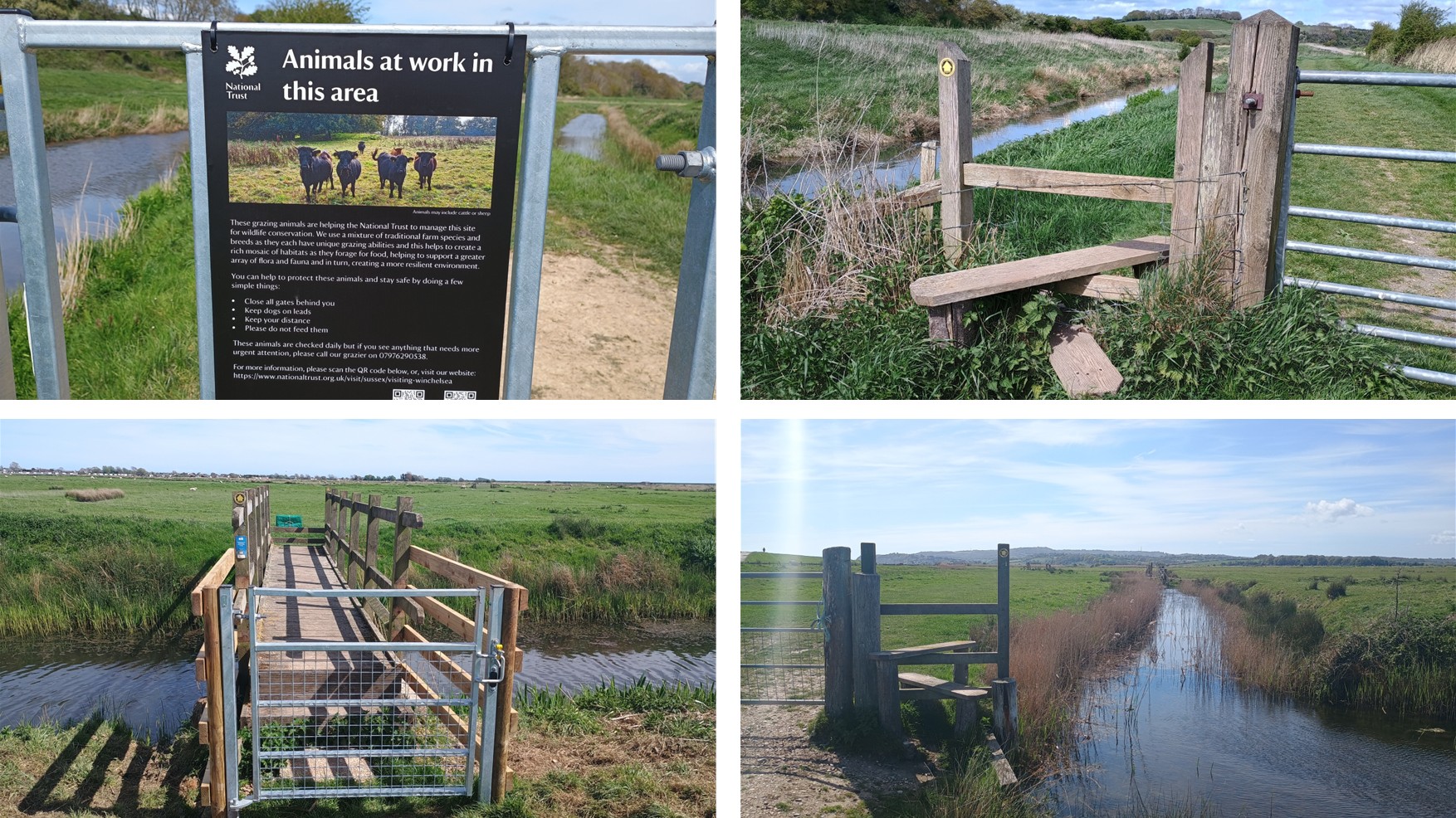 Pett Level 4.6m – 123 Walks