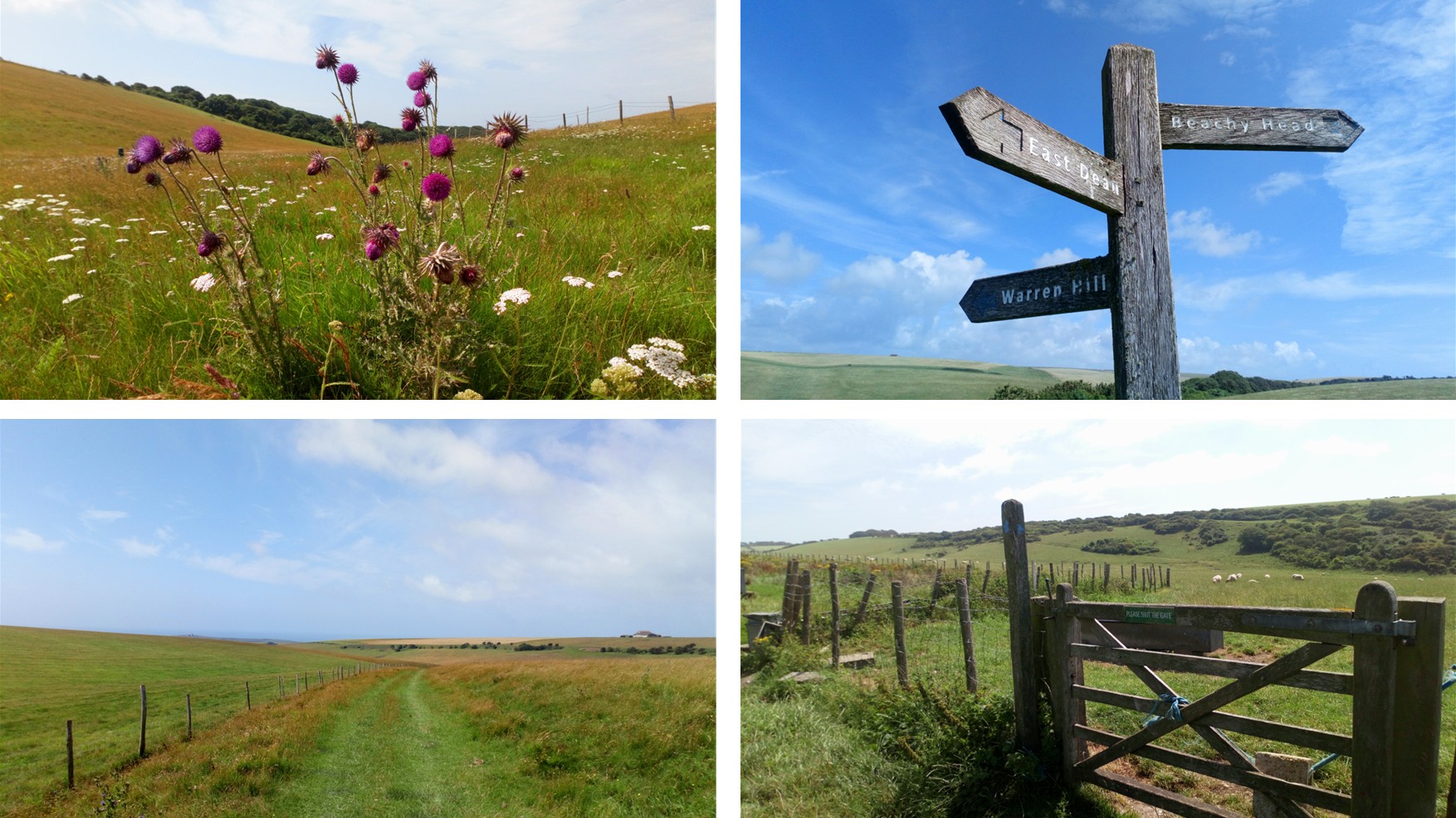 Eastbourne – South Downs/ Warren Hill 3.3m – 123 Walks