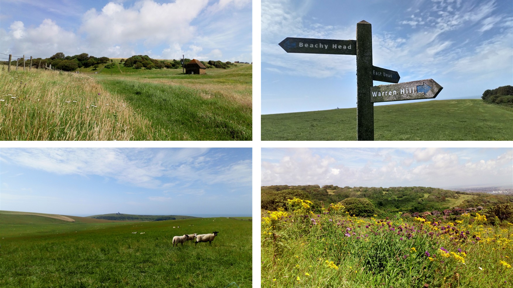 Eastbourne – South Downs/ Warren Hill 3.3m – 123 Walks