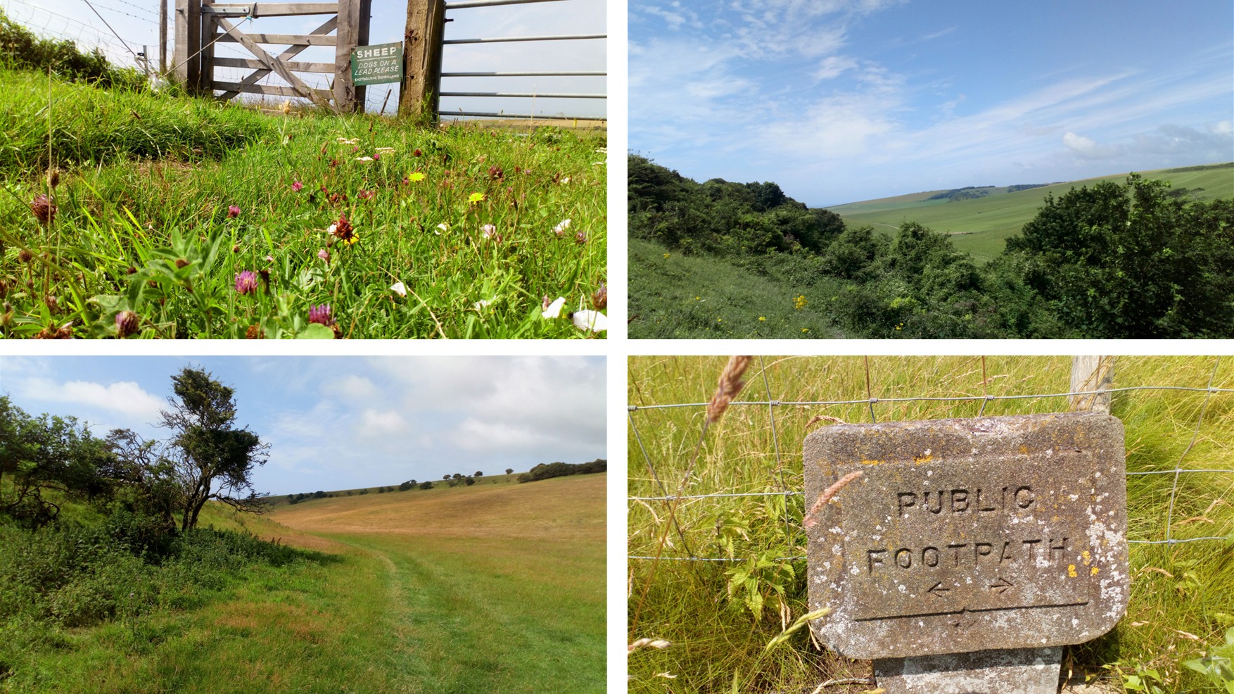 Eastbourne – South Downs/ Warren Hill 3.3m – 123 Walks